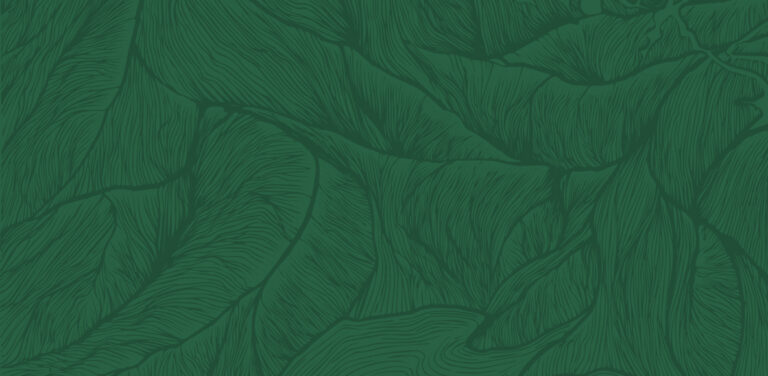 Trail Maps – SaddlebackMaine.com