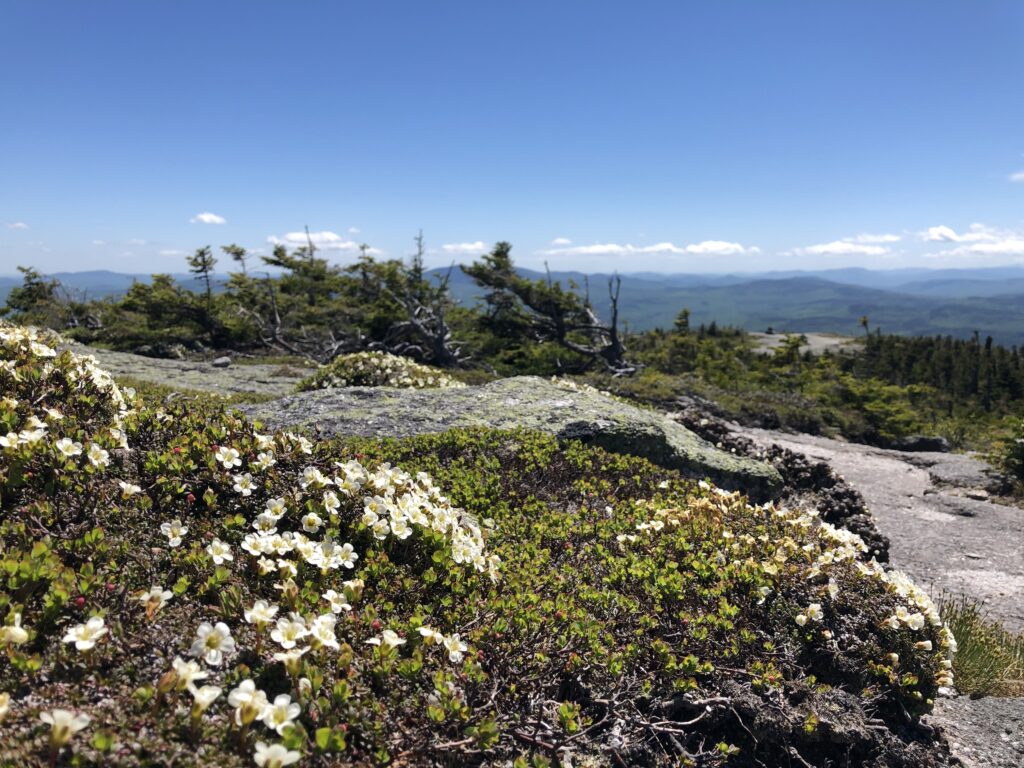 Hiking – SaddlebackMaine.com